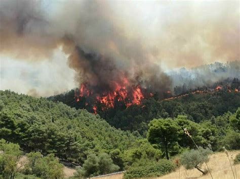 Incendi Nel Palermitano Continuano I Roghi Sulle Madonie FiloDiretto