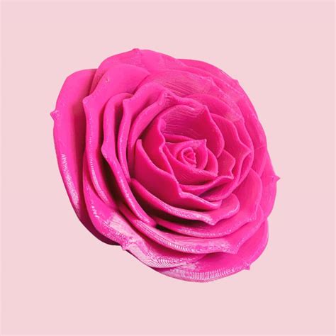Topo 121 Imagem Rosa Gigante Br Thptnganamst Edu Vn