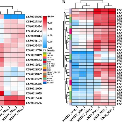 Expression Profiles Of Differentially Expressed Transcription Factor