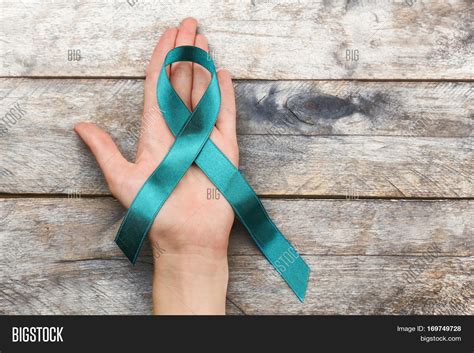 Female Hand Holding Image Photo Free Trial Bigstock