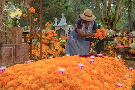 Cempas Chil C Mo Se Convirti En La Flor Del D A De Muertos
