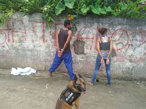 Cão da GCM localiza drogas casal em área de mata Prefeitura