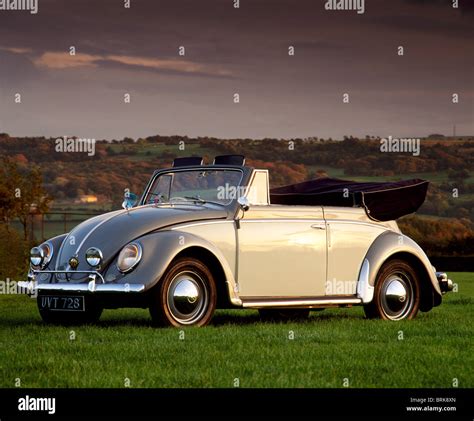 1954 Volkswagen Beetle Cabriolet In Countryside Stock Photo Alamy