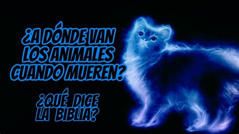 A dónde van los animales cuando mueren según la Biblia Los animales