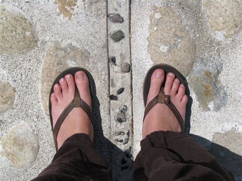 Lines On A Map That Run Parallel To The Equator Are Known As Maping