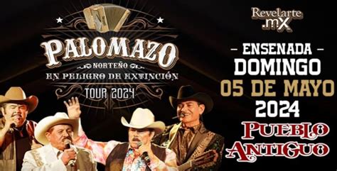 Palomazo Norte O En Ensenada Tijuana Eventos Conciertos