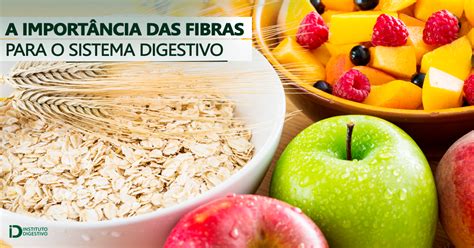 A importância das fibras para o sistema digestivo I Digestivo