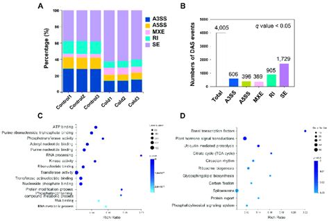 analysis of differentially alternative splicing events based on rna seq download scientific
