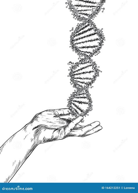 Hand Drawn Hand Holding Large DNA Spiral Stock Vector Illustration Of