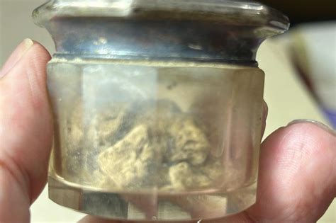 LOOK Jose Rizal S Brain Fragments Kept In Bottle ABS CBN News