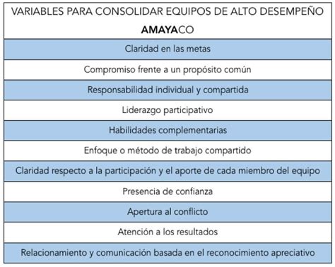 La última guía para equipos de alto desempeño Amayaco