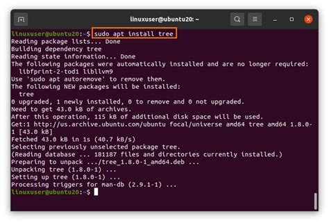 Иерархия файловой системы Linux