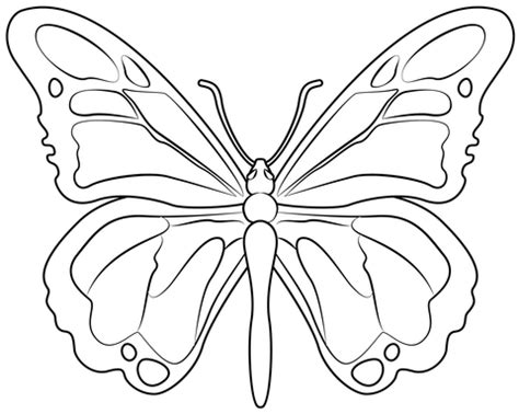 Free Printable Butterfly Colouring Page Colouring Sheets 60 OFF