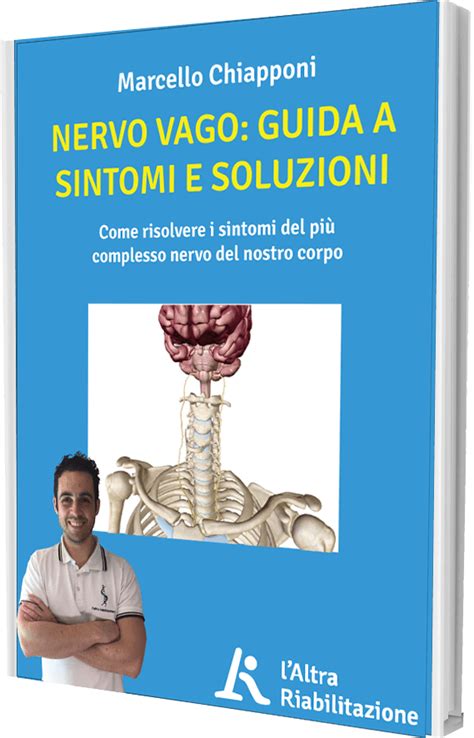 Nervo Vago Cure L Altra Riabilitazione