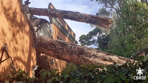 Tronco gigante cai e destrói telhado de casa no Lago Sul Veja fotos