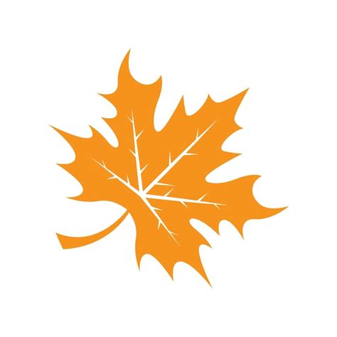 Dise O Del Logotipo Del Icono De La Hoja De Arce Vector Premium