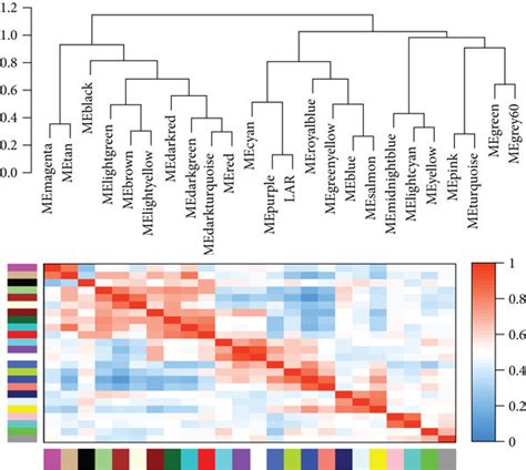 Identification Of Significant Gene Modules A Clustering Dendrograms