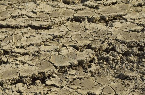 Qué es la compactación del suelo Wikifarmer