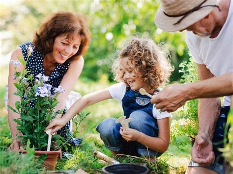 Trucs et astuces pour le jardin des idées pour faciliter le jardinage
