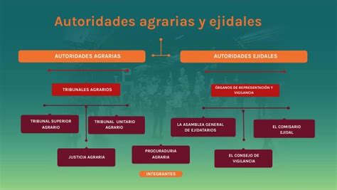 Autoridades Agrarias Y Ejidales