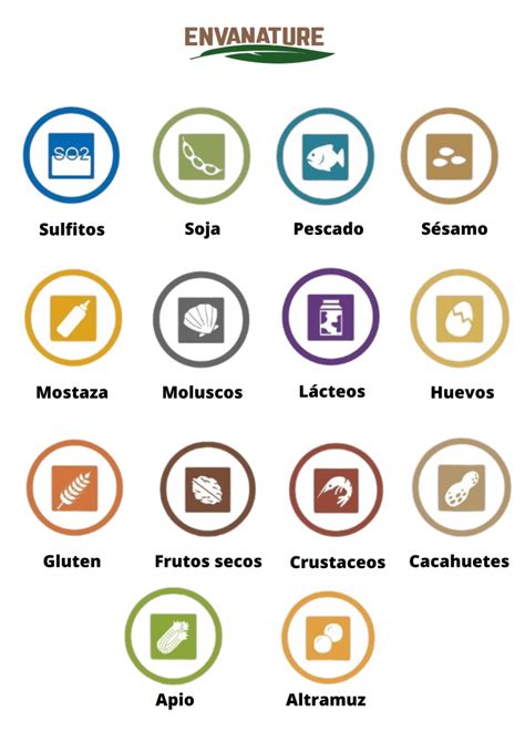 Carta de alérgenos Cómo se elabora Plantilla gratis Blog Envanature