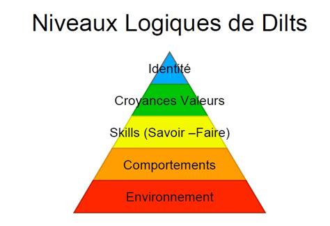 Formation Niveaux Logiques De Dilts Pour Coachs Formateurs