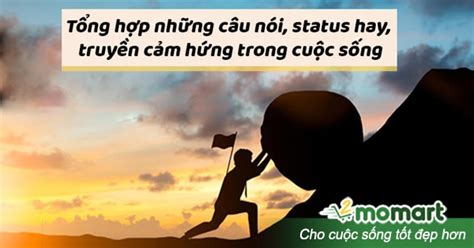 999 Những câu nói hay về cuộc sống tươi đẹp ý nghĩa tích cực