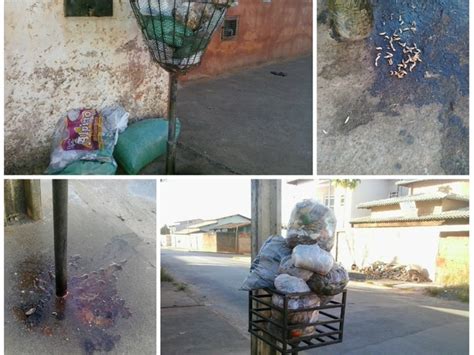 G1 Internautas denunciam acúmulo de lixo em rua e lote de Montes