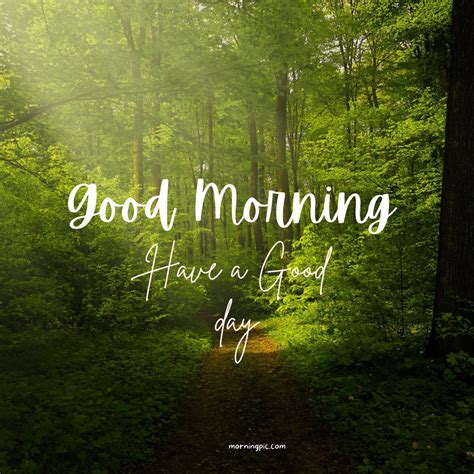 Collection Of 999 Stunningly Beautiful Good Morning Images In 4K HD