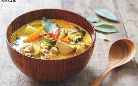 Recette Le Poulet Au Curry De Keto Facile Cuisine Etudiant