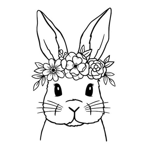 Cute Rabbit Line Art Bunny Mit Blumenkrone Osterhase Hasenskizze