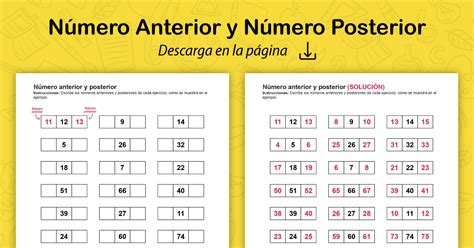 N Mero Anterior Y N Mero Posterior Set Edumaterial