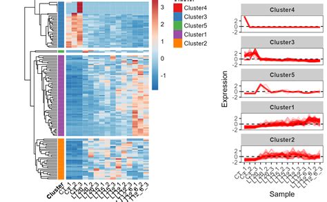 Heatmap Cluster For Visualizing Clustered Gene Expression Data