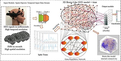 the snn architecture which contains several modules input spike time download scientific