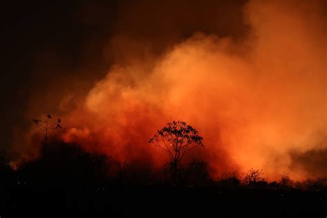 Bombeiros e brigadistas tentam combater incêndio que dura um mês no