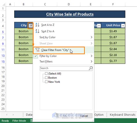 How To Remove Filter By Color In Excel 5 Methods ExcelDemy
