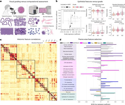 thematic categorization and selection of features using the cps ii download scientific diagram