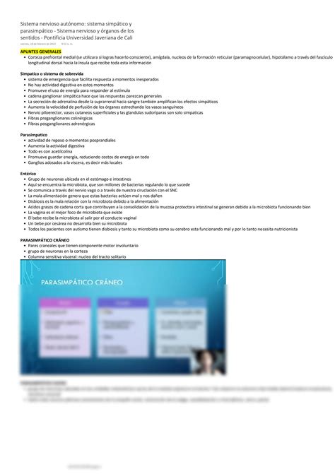 SOLUTION Sistema nervioso autónomo sistema simpático y parasimpático