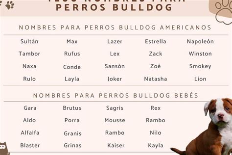 32 Apodos Divertidos Para Omar Descubre El Apodo Perfecto Para Tu