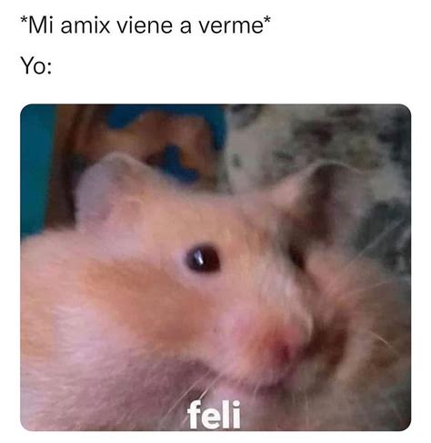 Cómo engañar a un mono Memes