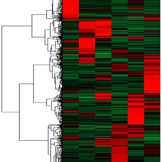 Unsupervised Hierarchical Clustering Analysis Gene Expression Profiles