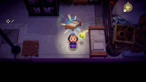Echoes Of Wisdom Box Art And Screenshots Released ZU Front Page