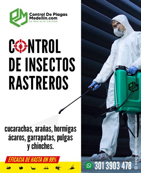 Nuevo Metodo Para Eliminar Las Cucarachas De La Cocina Para Siempre