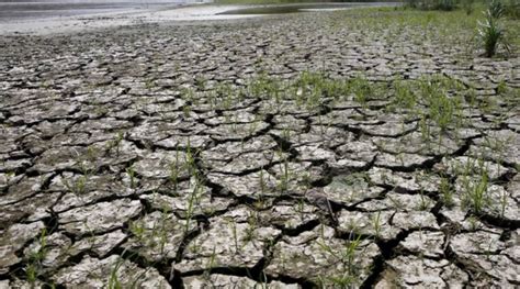 Inflasi Turun Tapi Wapadai El Nino Yang Ancam Ketahanan Pangan Cobisnis