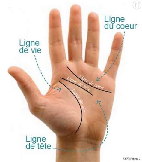 Comment Lire Les Lignes De La Main Le Petit Guide Pour Jouer La