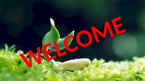 Pptx Factor Affecting Of Seed Germination Dokumen Tips