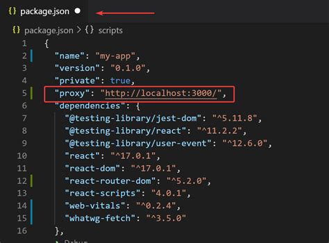 how to fix react cors error in localhost magenaut