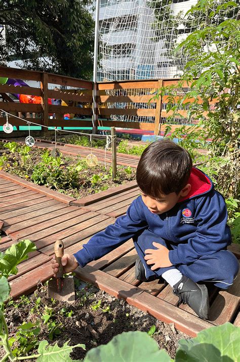 A importância da horta Colégio CECS Ensino Bilíngue