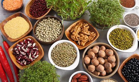Proteína vegetal Qué es y qué aporta en tu alimentación Contenidos