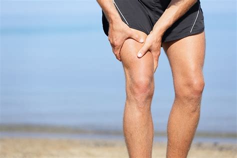 Cómo hacer analgésicos y antiinflamatorios naturales Bioguia